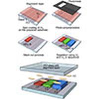 Generation of intensity-tunable structural color from helical photonic ...