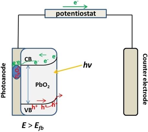 Preparation and Photoelectrocatalytic Performance of Ti/PbO2 Electrodes ...