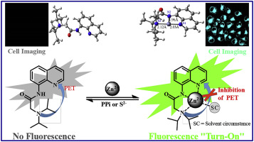 A simple amide fluorescent sensor based on quinoline for selective and sensitive recognition of ...