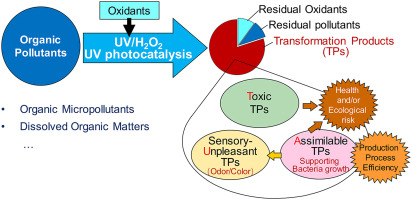 UV / H 2 O 2 氧化和紫外线光催化的潜在风险：有毒，易吸收和感觉不适的转化产物综述,Water Research - X-MOL