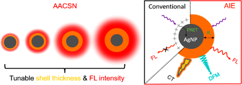 用于多模态生物成像的氧化还原活性 AIEgen 衍生的等离子体和荧光 Core@shell 纳米颗粒,Journal of the American Chemical Society - X-MOL