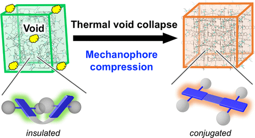 Compression of a Flapping Mechanophore Accompanied by Thermal Void ...