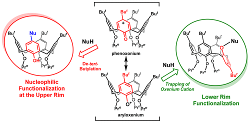 Exploiting the p-Bromodienone Route for the Formation and Trapping of ...