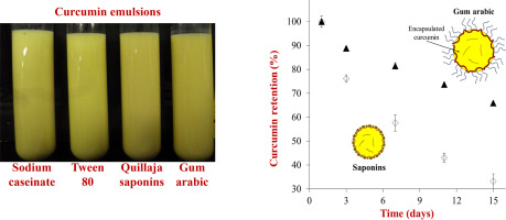 Stability of curcumin in oil-in-water emulsions: Impact of emulsifier type and concentration on ...