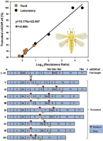 Foccα6, a truncated nAChR subunit, positively correlates with spinosad ...