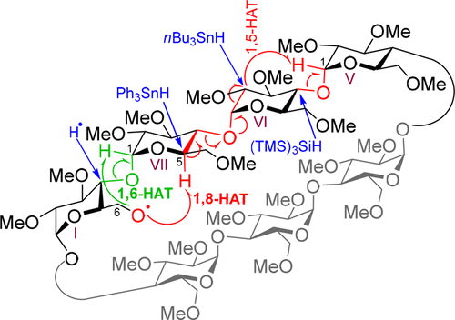 Reductive Radical Cascades Triggered by Alkoxyl Radicals in the β ...