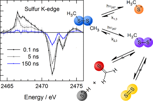 UV-Photochemistry of the Disulfide Bond: Evolution of Early ...
