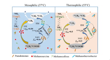 An explanation of the methanogenic pathway for methane production in ...