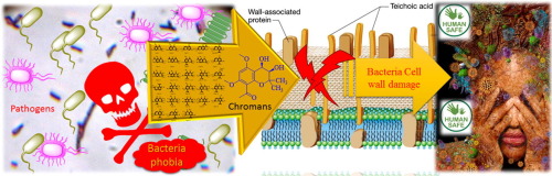 Drug efficacy of novel 3-O-methoxy-4-halo disubstituted 5,7-dimethoxy ...