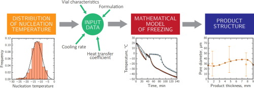 Looking inside the ‘black box’: Freezing engineering to ensure the ...