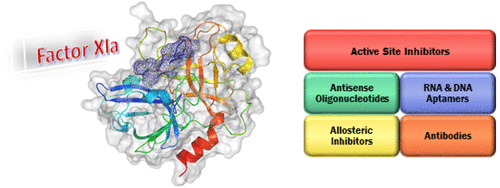 Factor XIa Inhibitors as New Anticoagulants,Journal of Medicinal ...