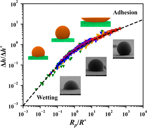 How To Measure Work of Adhesion and Surface Tension of Soft Polymeric ...
