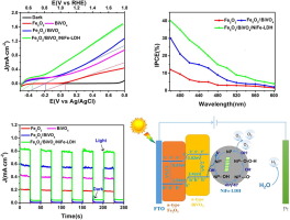 Fabricating of Fe2O3/BiVO4 heterojunction based photoanode modified ...