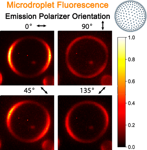 Fluorescence Polarization Anisotropy in Microdroplets,The Journal of ...