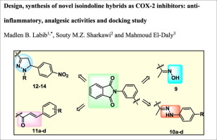 设计，合成新型异吲哚啉杂种作为COX-2抑制剂：抗炎，止痛作用和对接研究,Bioorganic Chemistry - X-MOL