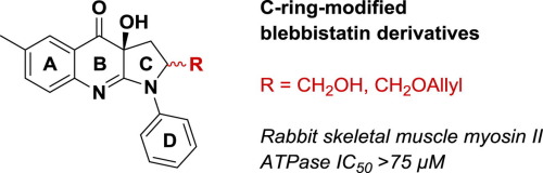 Synthesis of C-ring-modified blebbistatin derivatives and evaluation of ...