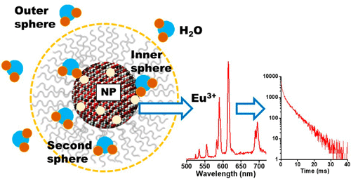 Validation of Inner, Second, and Outer Sphere Contributions to T1 and ...
