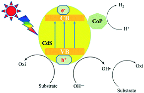 Photocatalytic oxidation of arylalcohols to aromatic aldehydes promoted ...