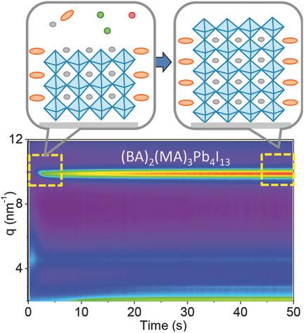 Phase Transition Control for High Performance Ruddlesden–Popper Perovskite Solar Cells,Advanced ...