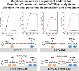 Enhanced dual resistance to alkali metal and phosphate poisoning: Mo ...