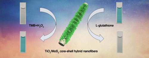 Controlled synthesis of titanium dioxide/molybdenum disulfide core ...