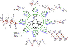 Versatility of copper(II) coordination compounds with 2,3-bis(2-pyridyl)pyrazine mediated by ...