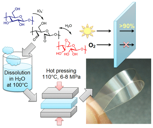 Transparent, Flexible, and Strong 2,3-Dialdehyde Cellulose Films with ...