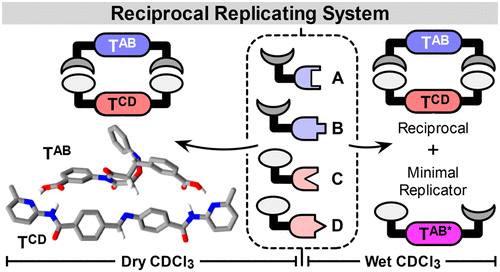 An environmentally-responsive reciprocal replicating network,Journal of ...