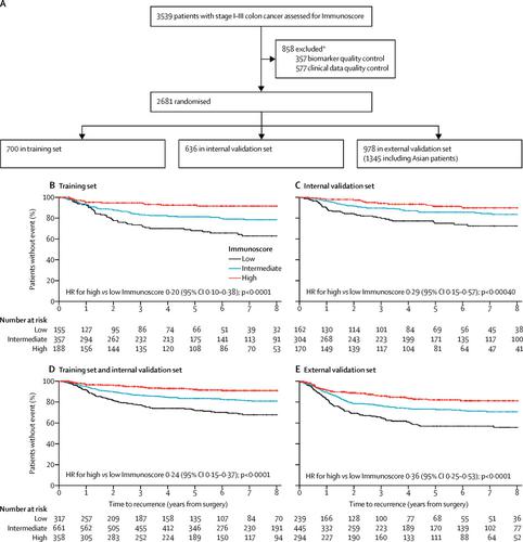 International validation of the consensus Immunoscore for the ...