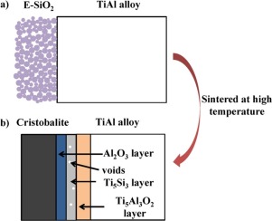 Enhanced high temperature oxidation resistance for γ-TiAl alloy with ...