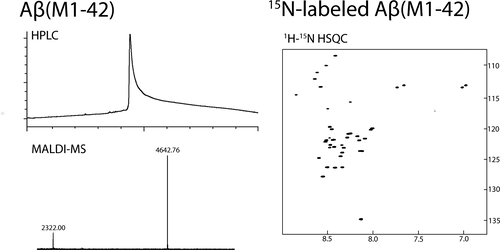 An Efficient Method for the Expression and Purification of Aβ(M1–42 ...