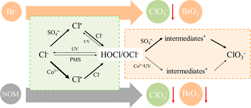 Chlorate Formation Mechanism in the Presence of Sulfate Radical ...