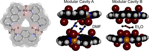 Modular Cavities: Induced Fit of Polar and Apolar Guests into Halogen ...
