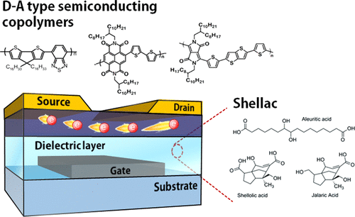 Shellac Films as a Natural Dielectric Layer for Enhanced Electron ...