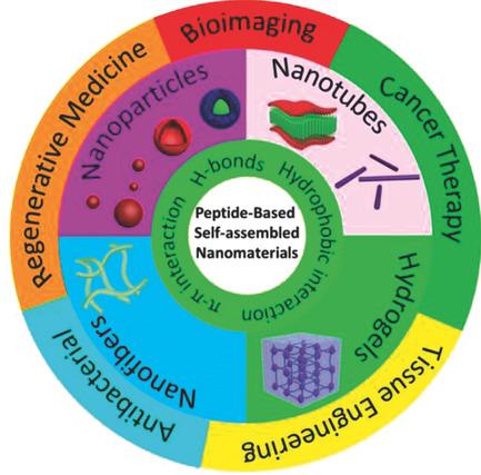 Self‐Assembled Peptide‐Based Nanomaterials for Biomedical Imaging and ...