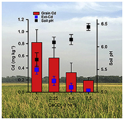 Effective methods to reduce cadmium accumulation in rice grain,Chemosphere - X-MOL