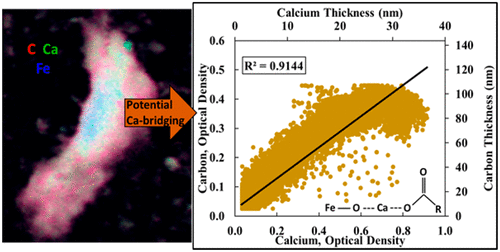Spatial Associations and Chemical Composition of Organic Carbon ...