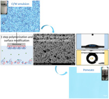 Surface zwitterionization of PVDF VIPS membranes for oil and water ...