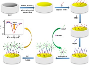 Ultrasensitive electrochemical DNA sensor for virulence invA gene of ...