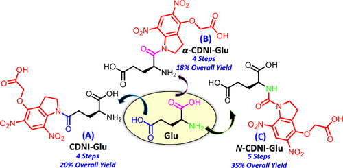 Improved Synthesis of Caged Glutamate and Caging Each Functional Group ...