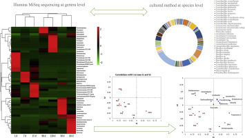 臭豆腐发酵过程中细菌多样性和生物胺含量的分析,Food Research International - X-MOL