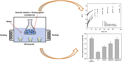 Simultaneous application of ultrasounds and firming agents to improve ...