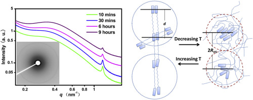 Phase mixing and separation in polyester polyurethane studied by small ...