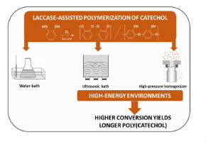 The effect of high-energy environments on the structure of laccase ...