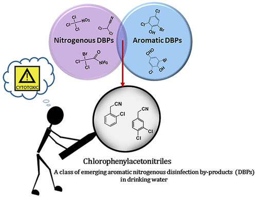 Occurrence and Stability of Chlorophenylacetonitriles: A New Class of ...