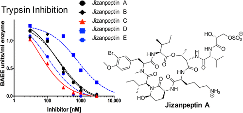 Jizanpeptins, Cyanobacterial Protease Inhibitors from a Symploca sp ...