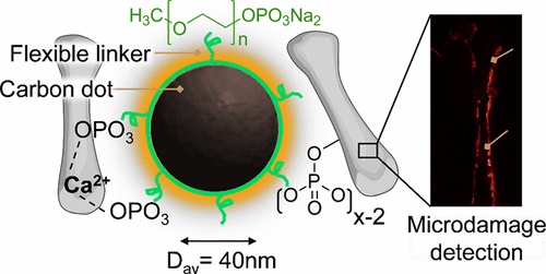 Fluorescence Detection of Bone Microcracks Using Monophosphonated ...