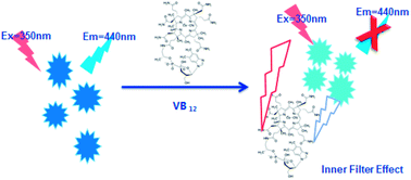 Carbon dots as fluorescent probes for detection of VB12 based on the ...