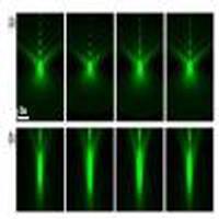 Measure and model a 3-D space-variant PSF for fluorescence microscopy image deblurring,Optics ...
