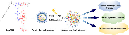 Platinum(IV) complex-based two-in-one polyprodrug for a combinatorial ...